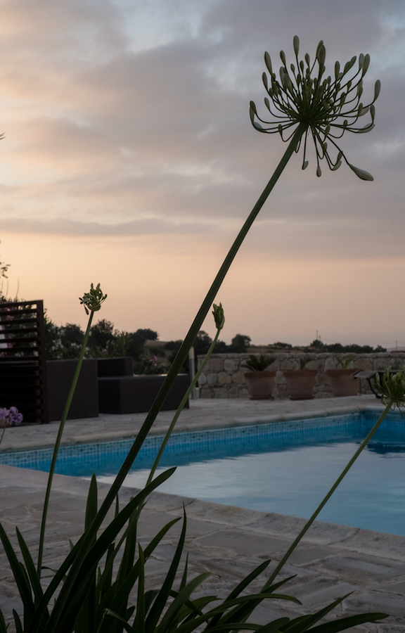 Cyprus contemporary garden with views - Lee Hopkins